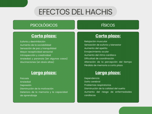 ¿Qué es el Hachís? Efectos, Consumo y Usos | Cannandalus